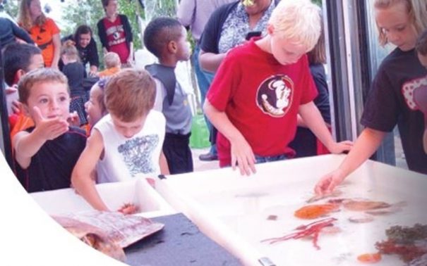 Gulf Specimen Marine Laboratory • Visit Tallahassee