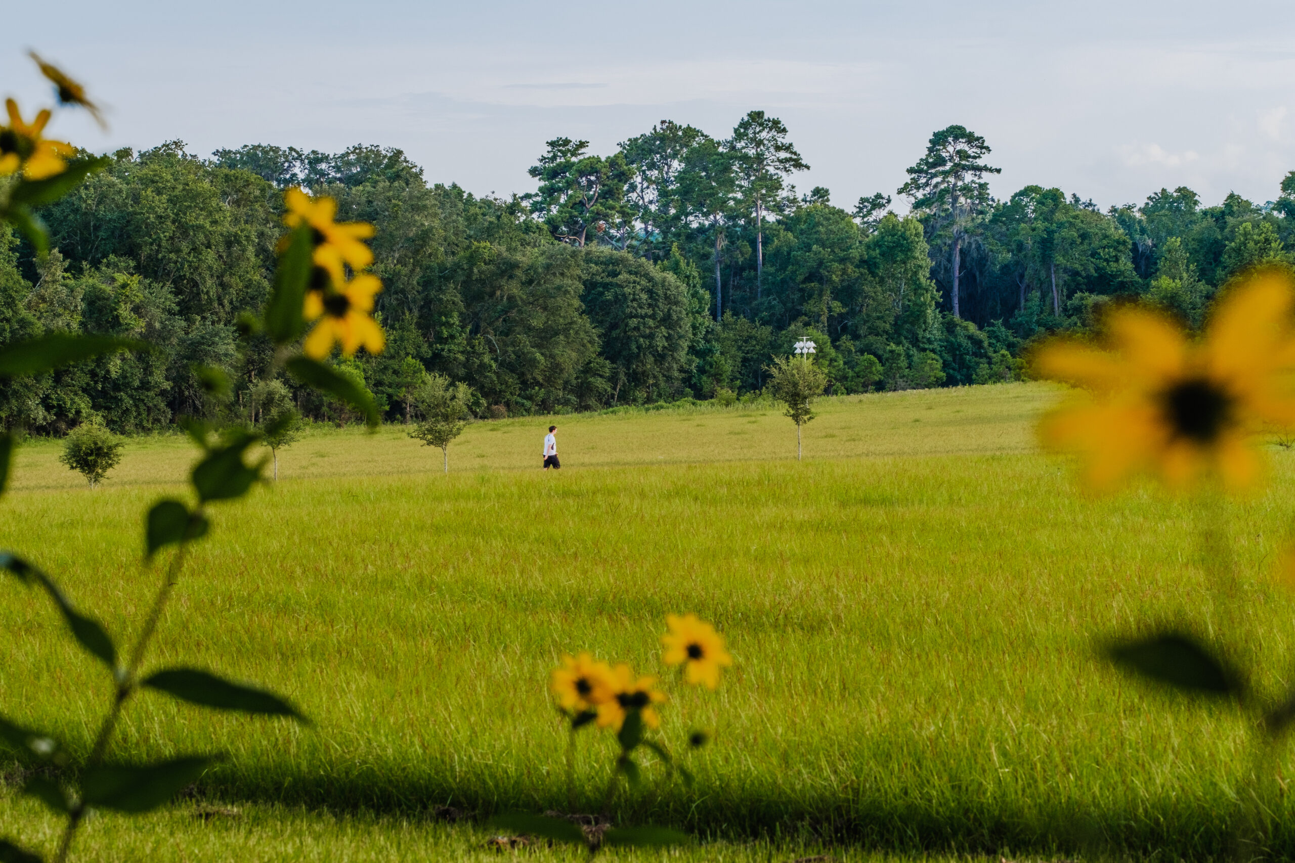 Hilaman Golf Course • Visit Tallahassee